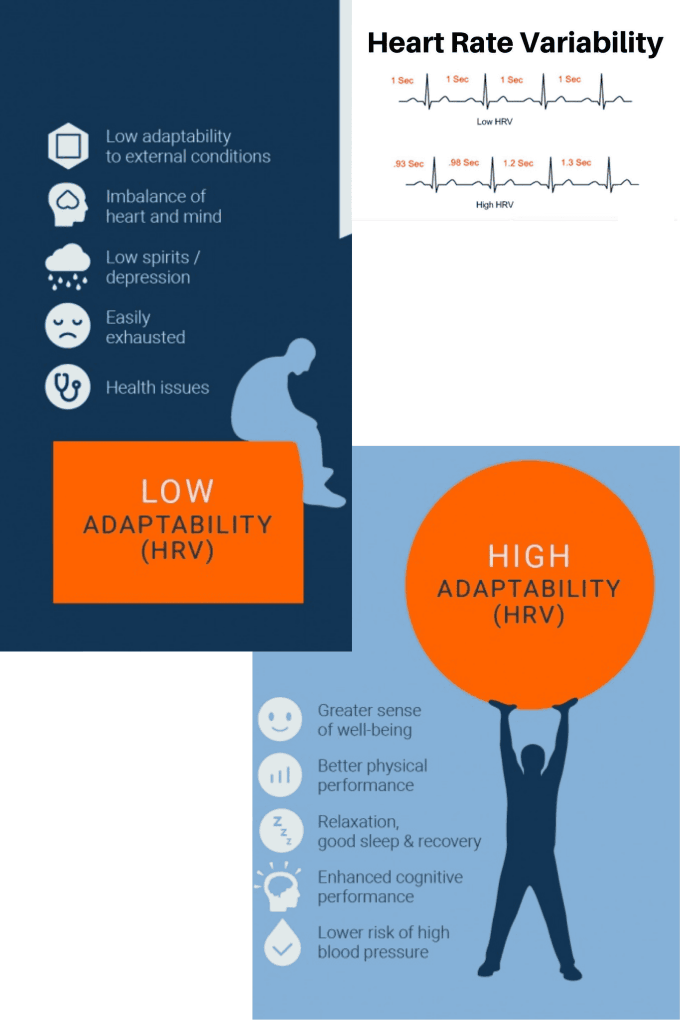 HRV Testing to Build Resilience & Focus | i-Thrive.uk